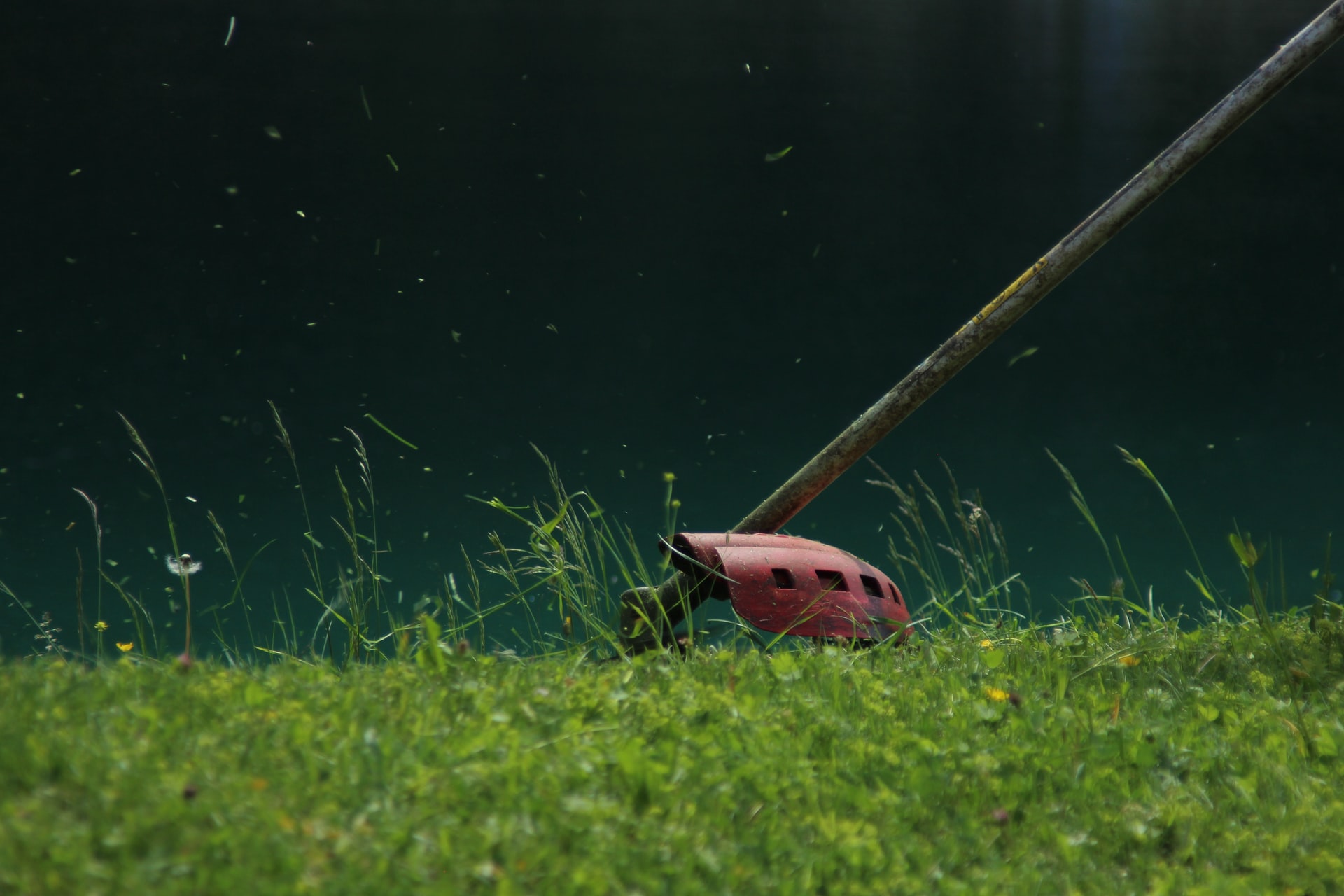 ¿Cómo elegir la mejor desmalezadora? - Ideas Irresistibles